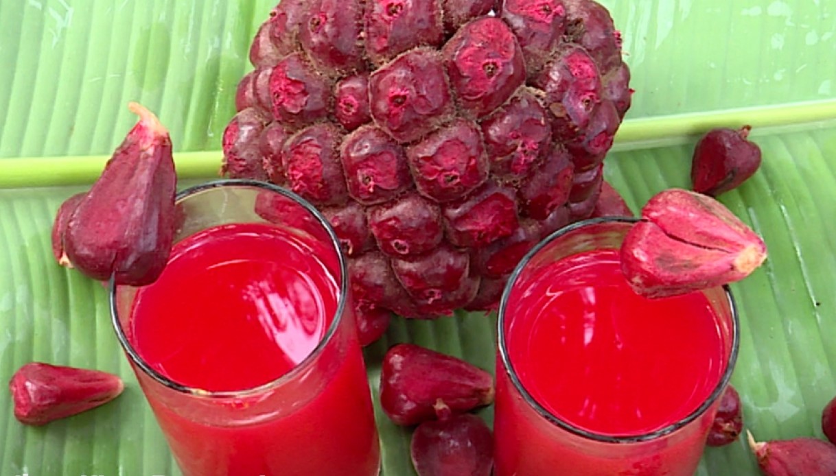Jus Honje, Minuman Khas Pangandaran