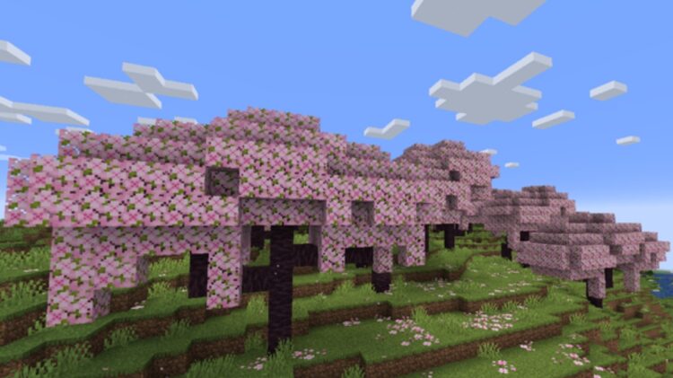 Minecraft Update 1.20 Hadirkan Bioma Sakura Baru - Cherry Blossom